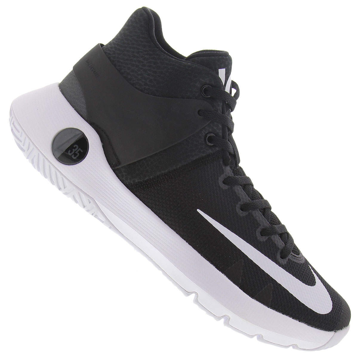 Kd 5 Cano Baixo AMPHIBIAN & REPTILE