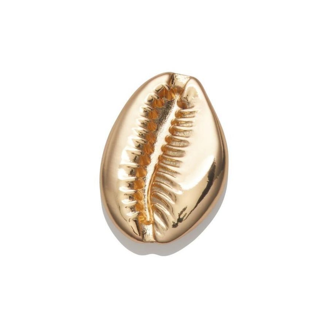 Jibbitz Crocs Charm Concha Puka | Centauro