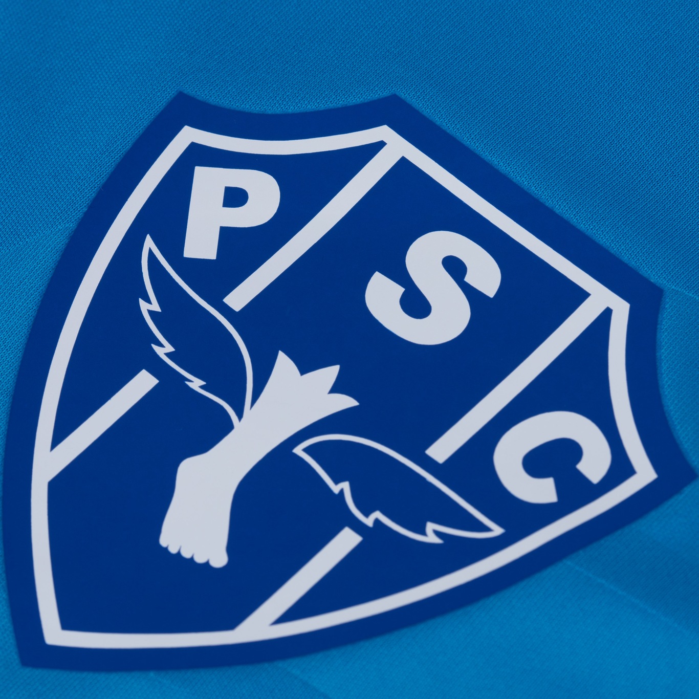 Camiseta de Treino Paysandu 21 Lobo - Masculina | Centauro