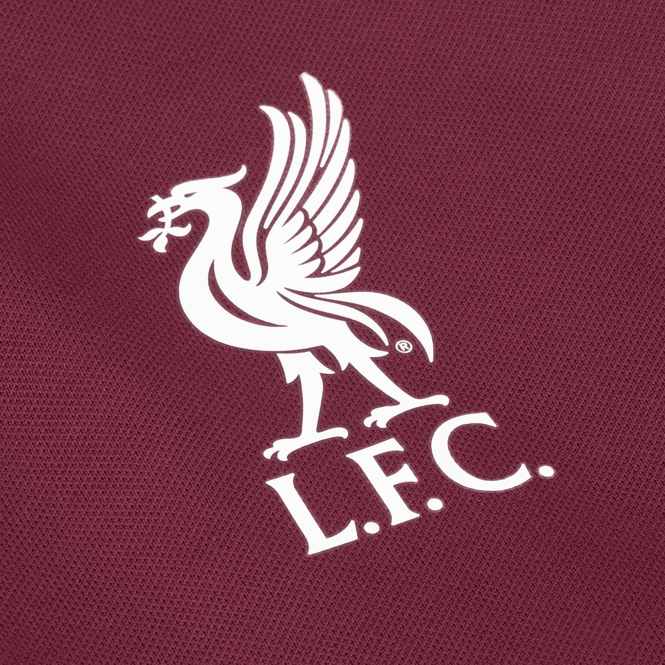 Blusa Liverpool XPS Sports com Capuz - Masculina | Centauro