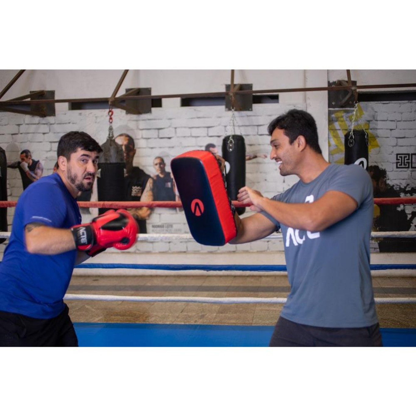 Aparador para Chutes e Socos Acte Sports P6 | Centauro