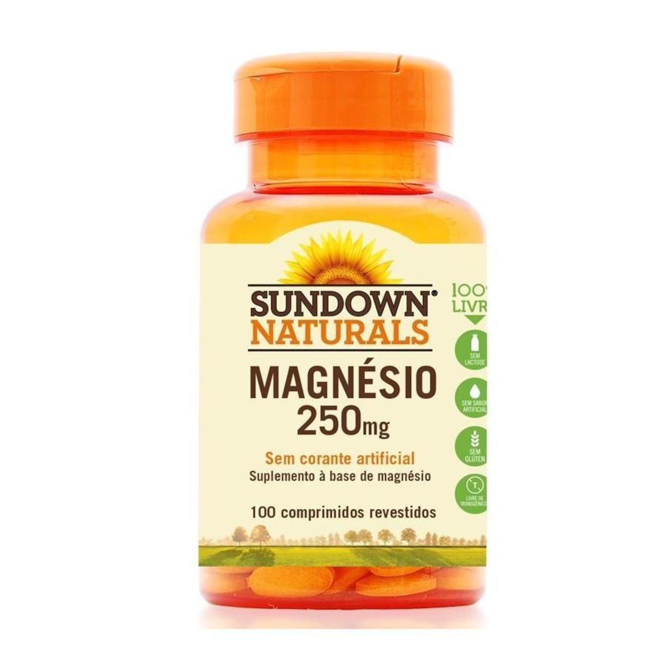 Kit Magnésio 250mg Sundown - 100 cápsulas - 3 Unidades | Centauro