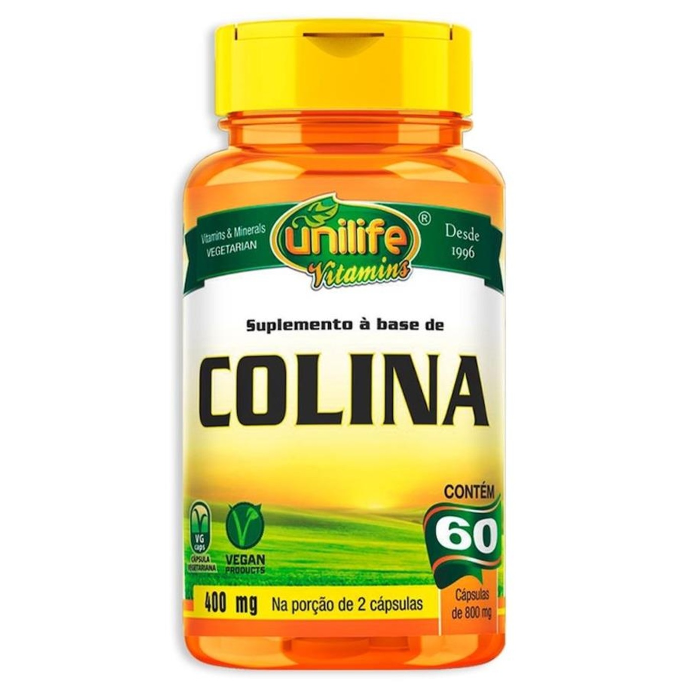 Colina Vitamina B8 Unilife - 60 Cápsulas | Centauro