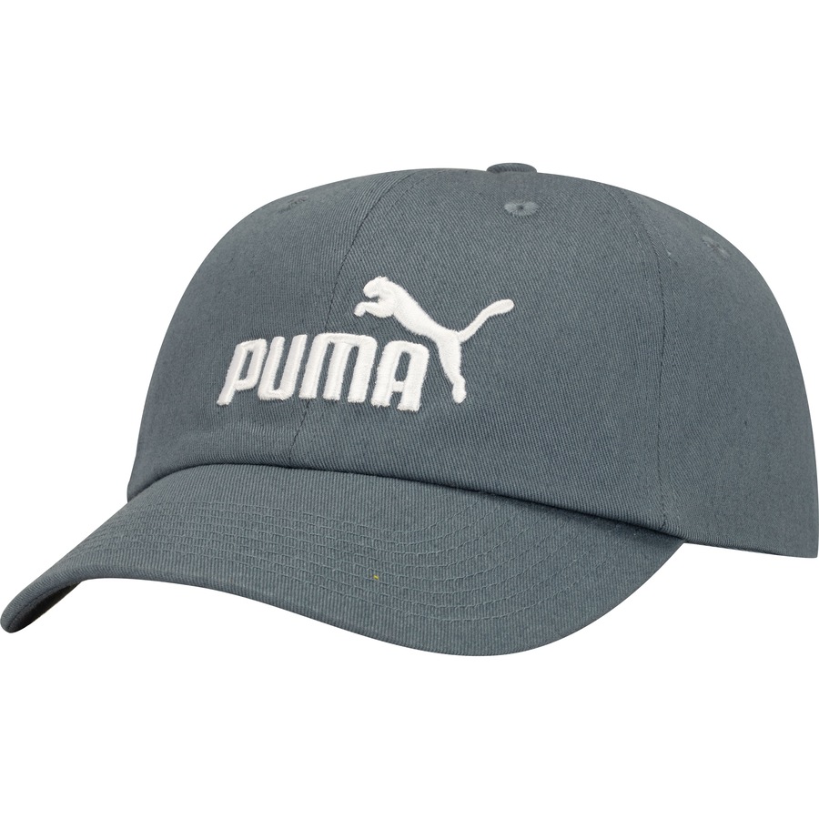 Boné Puma Aba Curva Strapback ESS Cap - Adulto - Centauro