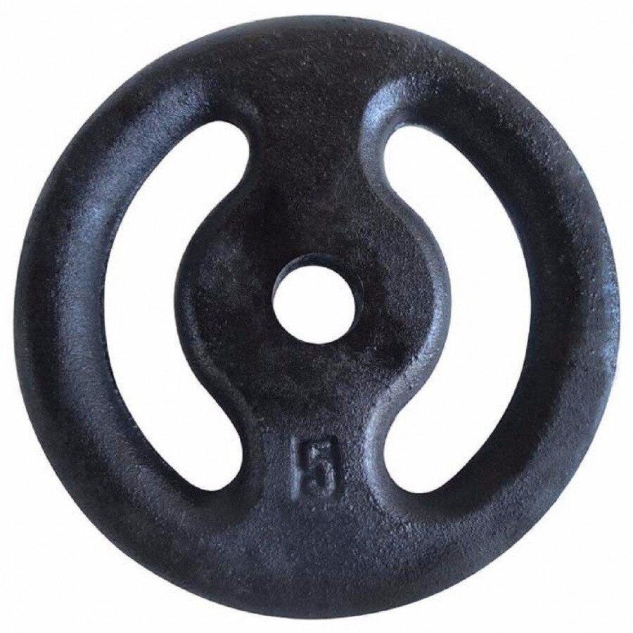 Anilha Pintada Peso Academia Musculação 5 Kg - Centauro
